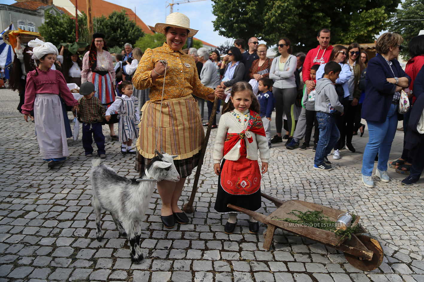 Câmara Municipal de Estarreja